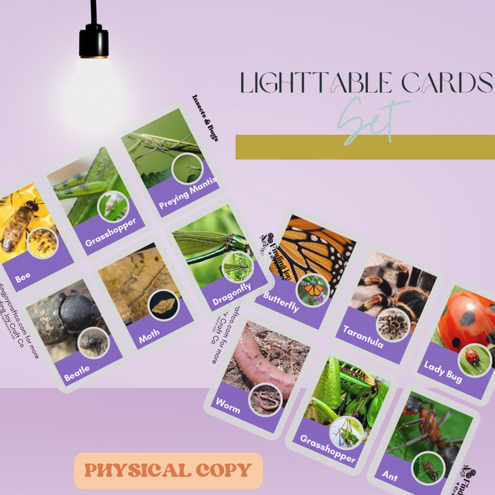 Light Table Flash Card: Bugs - PHYSICAL COPY – Finding Joy Craft Co
